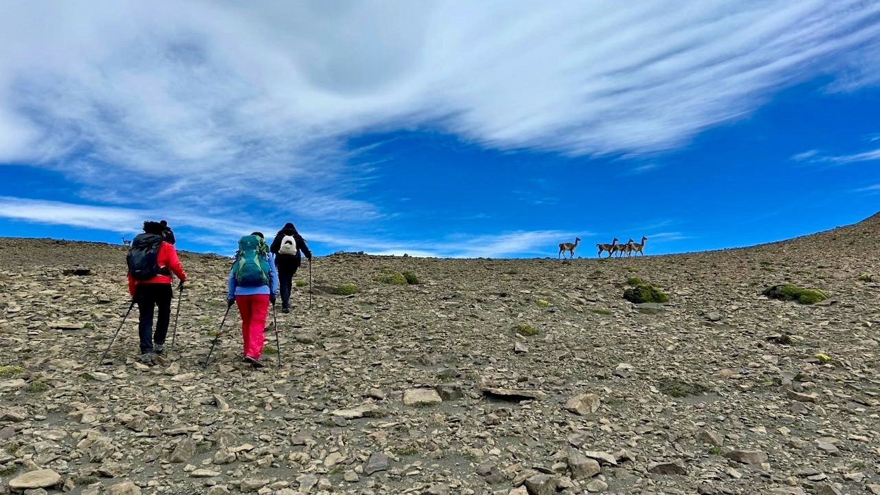Desafío Cerro Frías – Walk Patagonia | Tourist Service Provider of ...